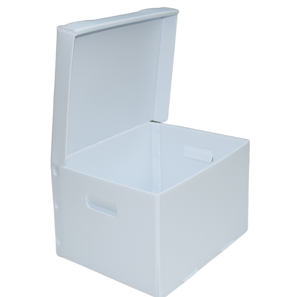 Cajas de Polipropileno - SARIP
